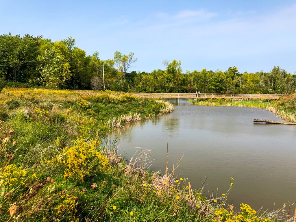 Environmental – Barton & Loguidice