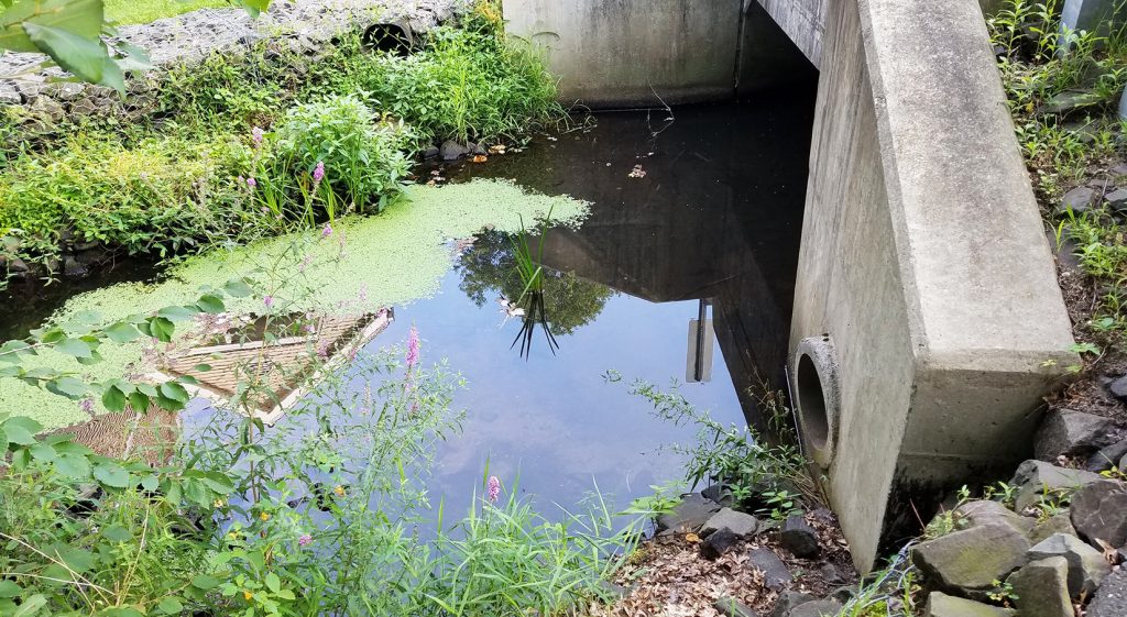 Watershed Science & Stormwater Management – Barton & Loguidice