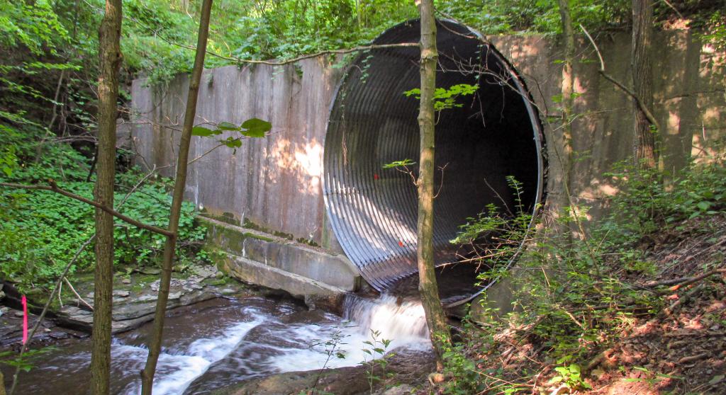 Watershed Science & Stormwater Management – Barton & Loguidice